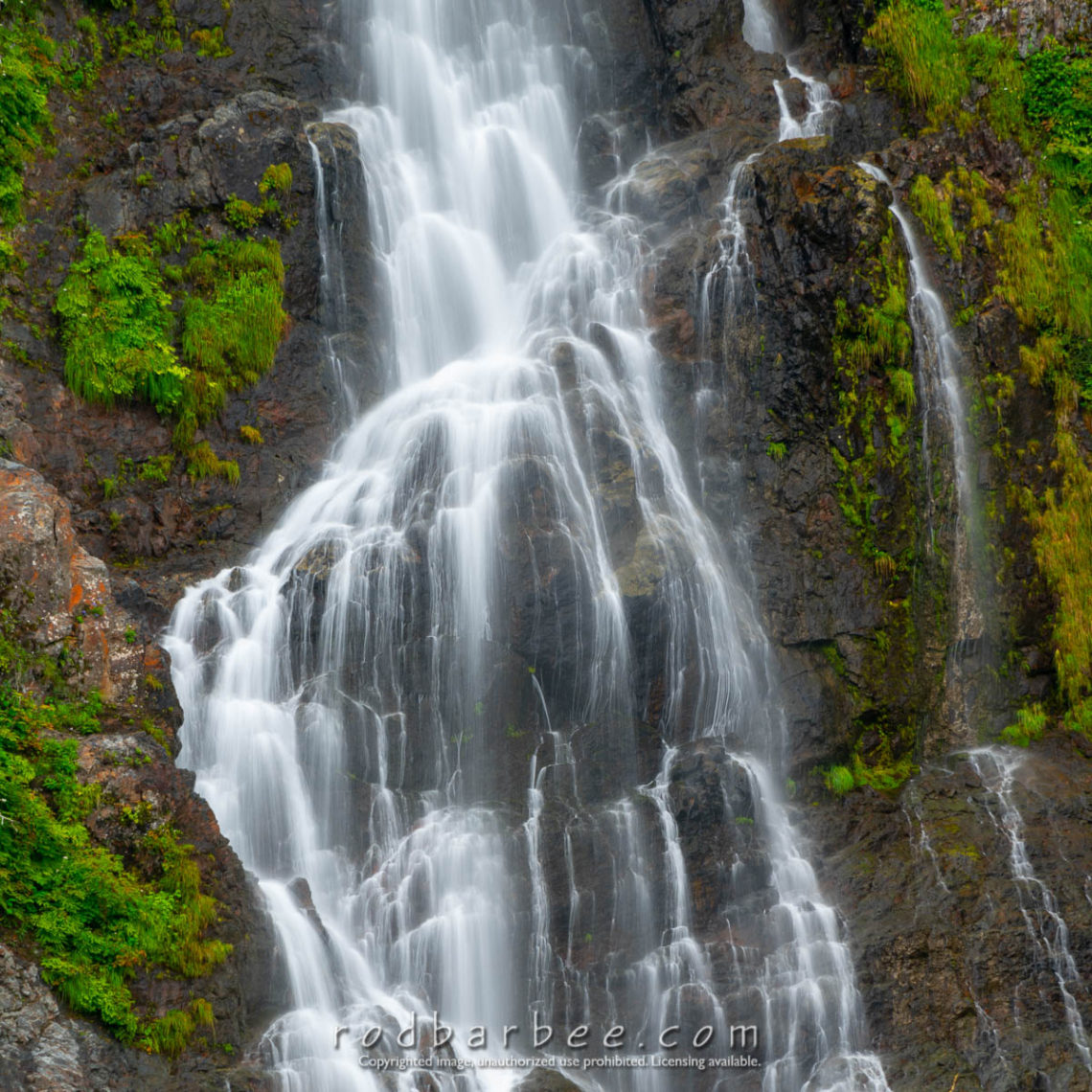 Sitka Photo Tour Report - Rod Barbee Photography