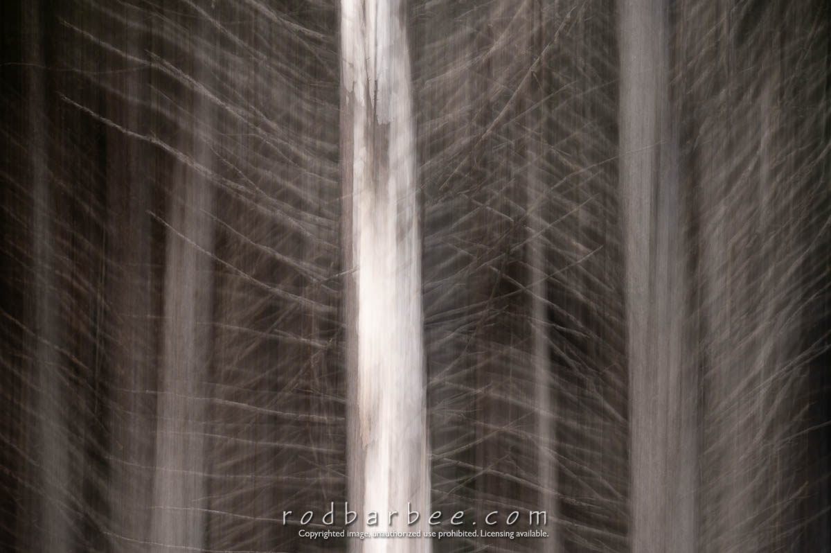 Maven Filters review - Rod Barbee Photography